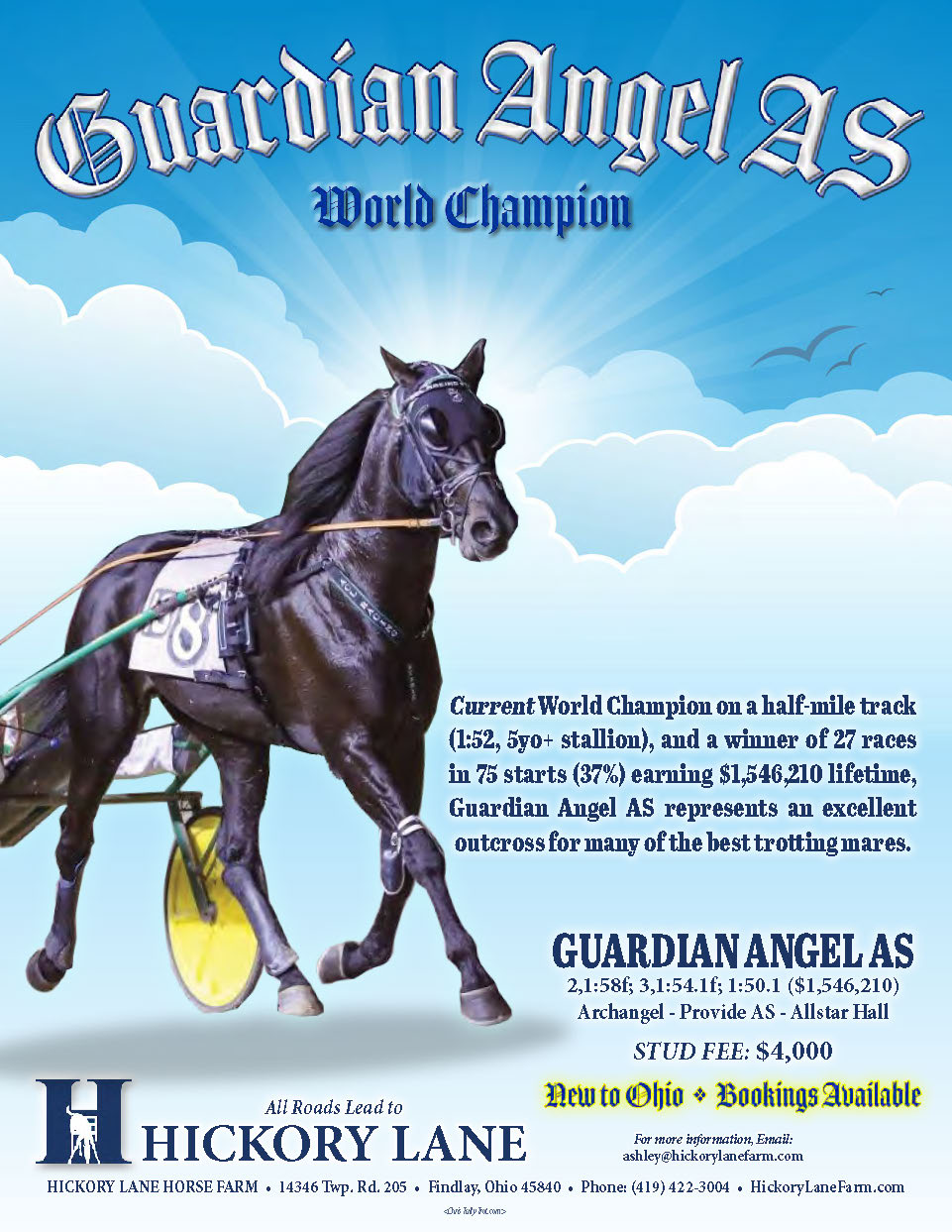 Guardian Angel As – Hickory Lane Horse Farm, Findlay, Ohio