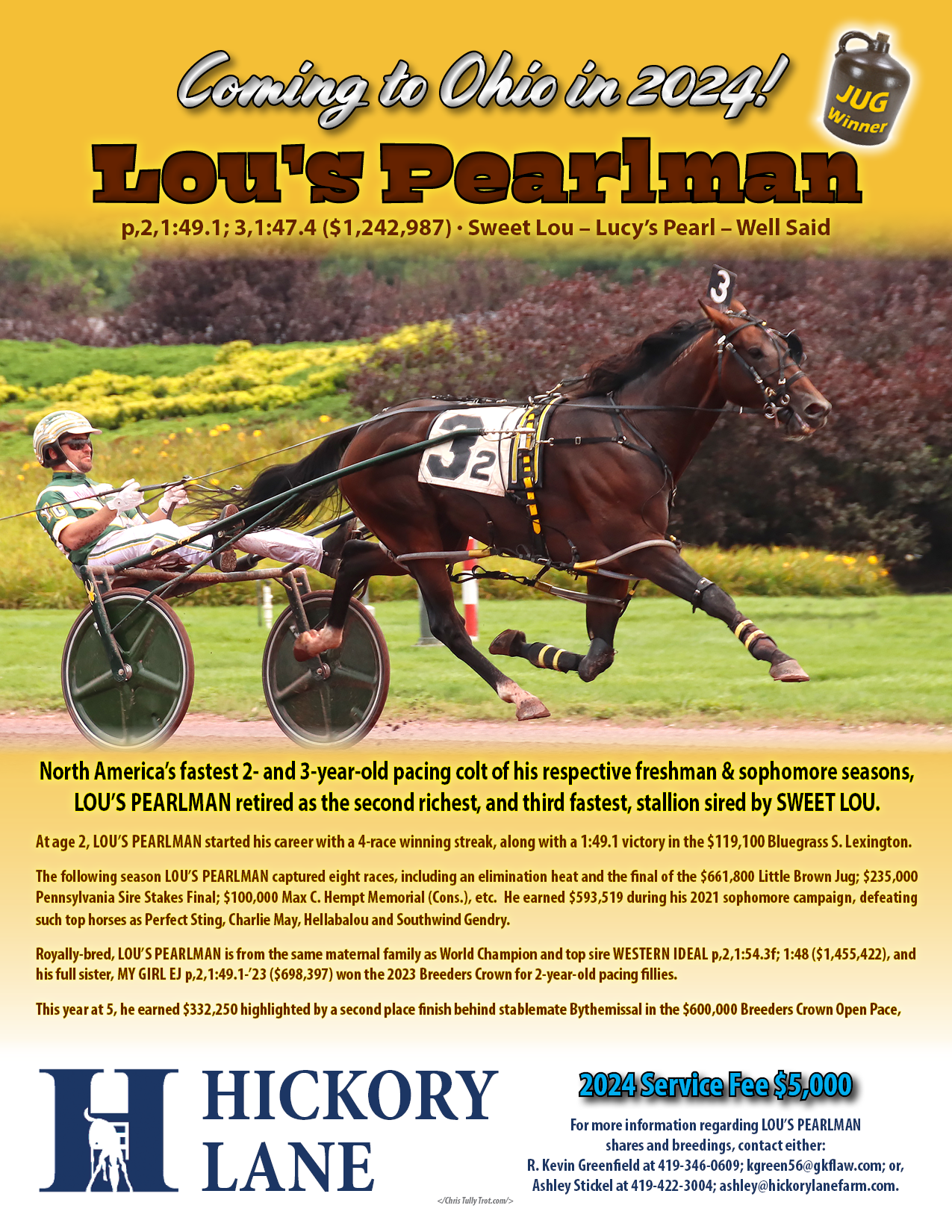 Lou’s Pearlman – Hickory Lane Horse Farm, Findlay, Ohio